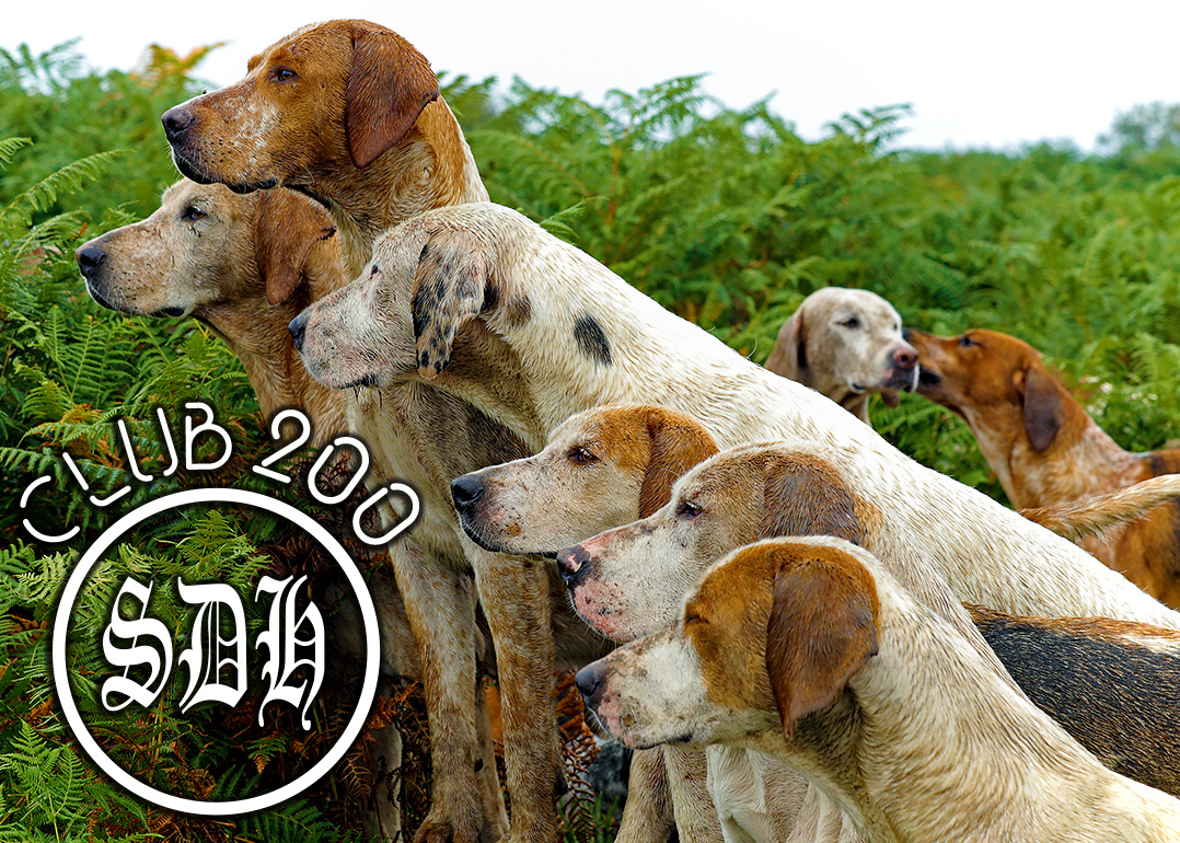 12 Month Membership of the SDH 200 Club – South Devon Hunt