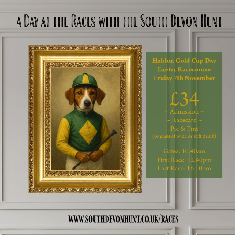 Day at the Races – 7th November – South Devon Hunt